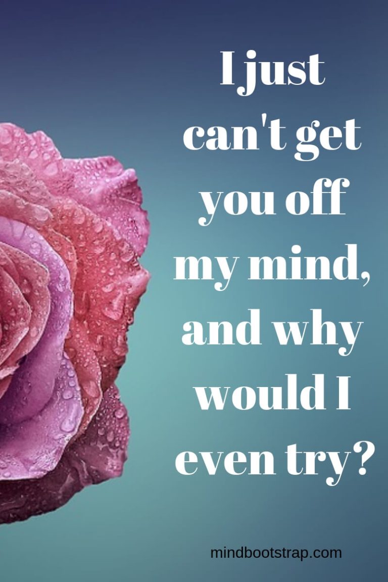 400+ Best Romantic Quotes That Express Your Love (With Images)