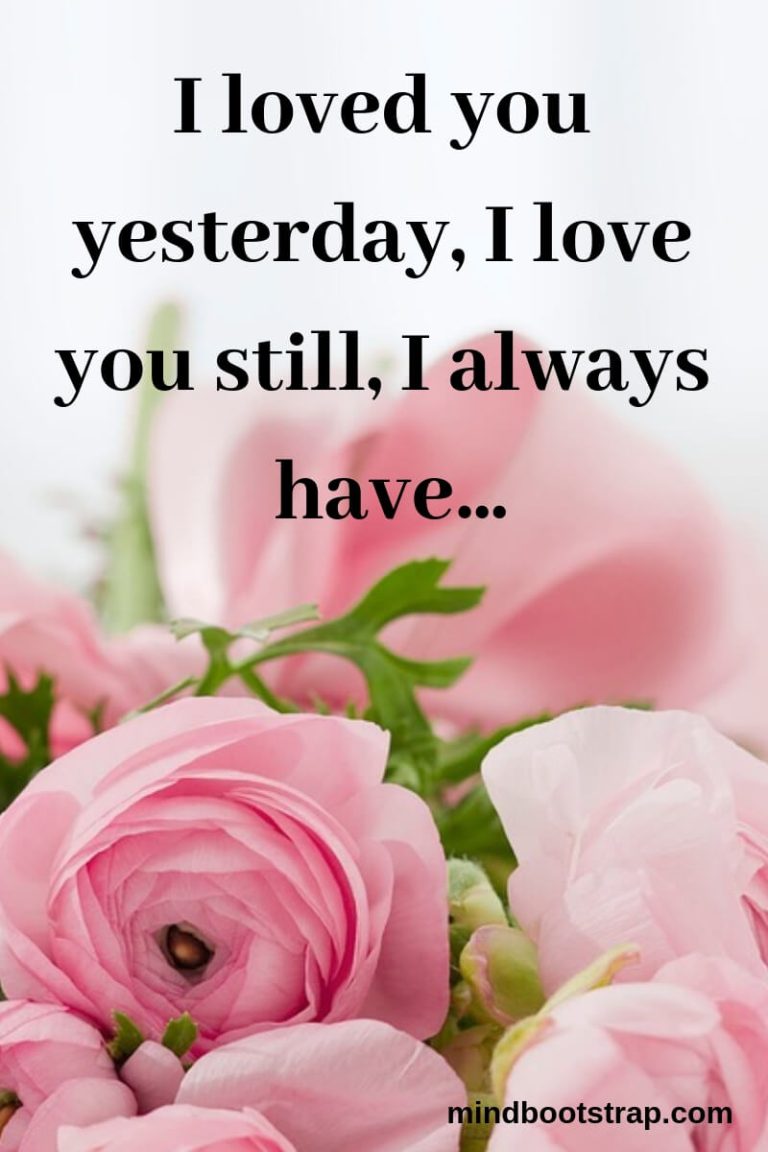 400+ Best Romantic Quotes That Express Your Love (With Images)