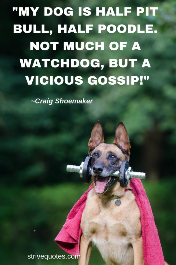 100+ Funny & Inspirational Pet Quotes and Sayings - MindBootstrap.com