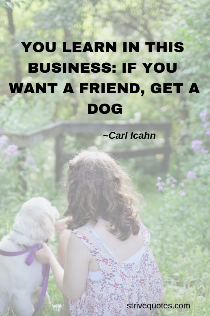 100+ Funny & Inspirational Pet Quotes and Sayings - MindBootstrap.com