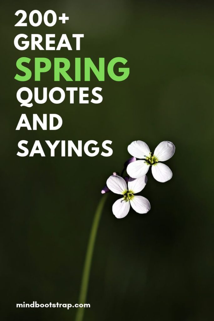 200+ Happy, and Inspirational Spring Quotes & Sayings (Flowers, Love)