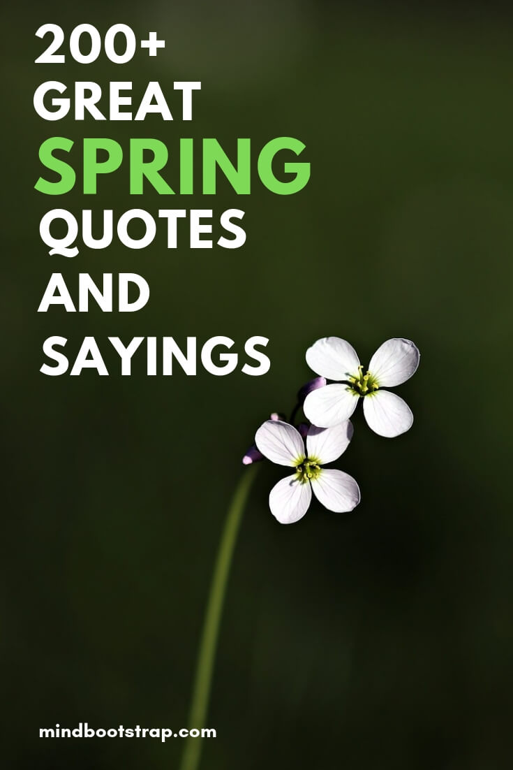200+ Happy, and Inspirational Spring Quotes & Sayings (Flowers, Love)