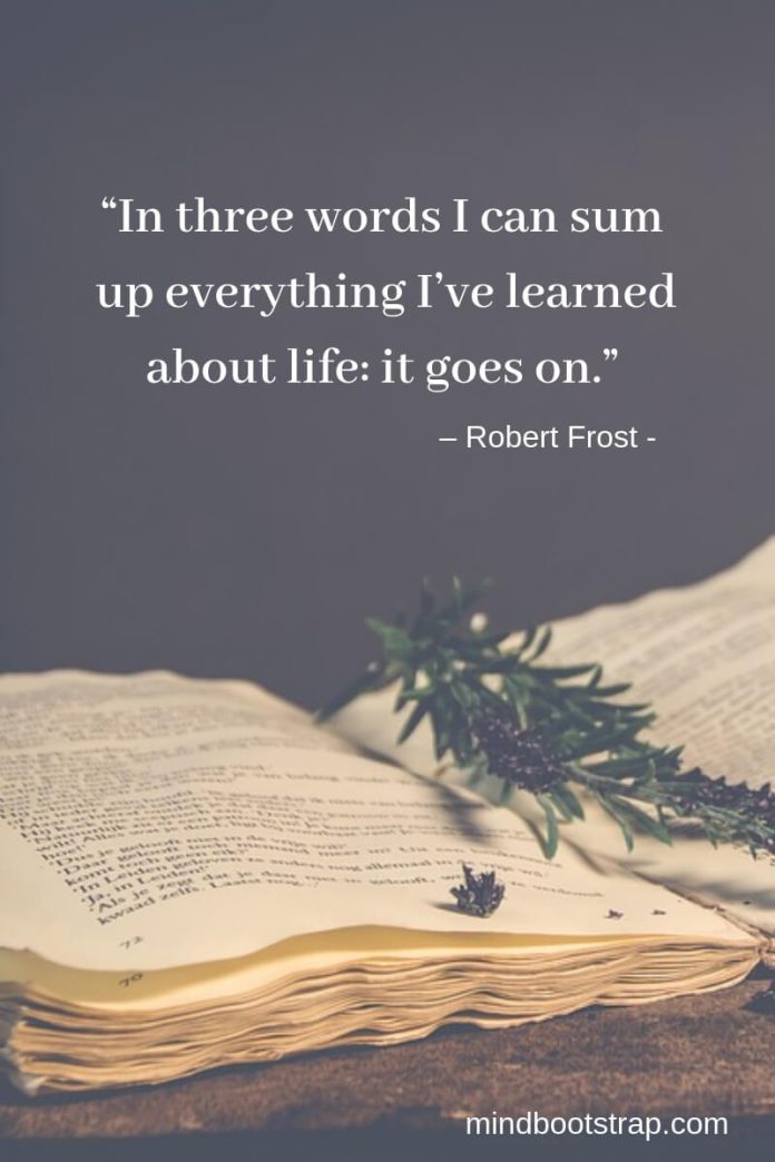 400+ Best Life Quotes For Inspiration, and Motivation (With Images)