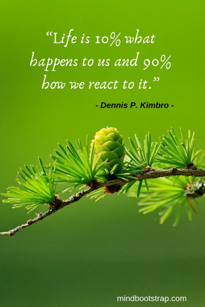 400+ Best Life Quotes For Inspiration, and Motivation (With Images)