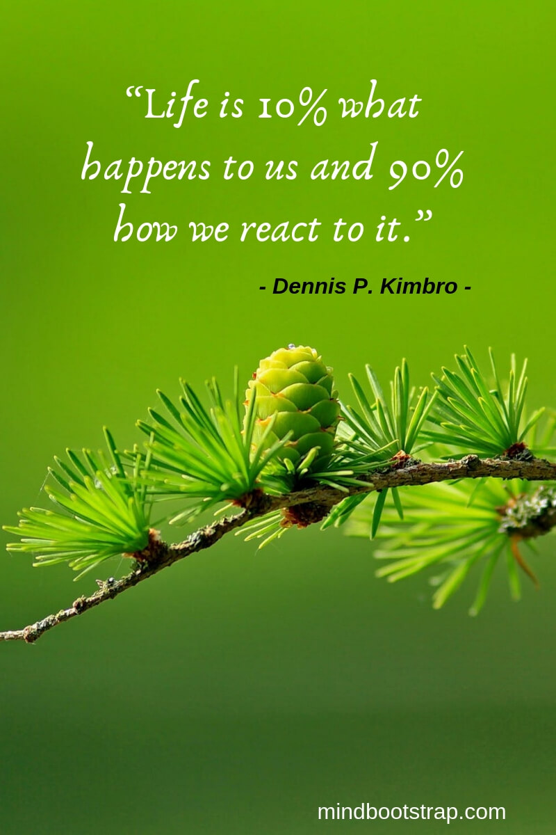 400+ Best Life Quotes For Inspiration, and Motivation (With Images)