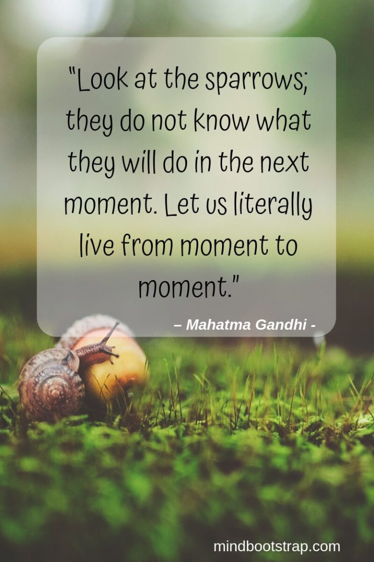 400+ Best Life Quotes For Inspiration, and Motivation (With Images)