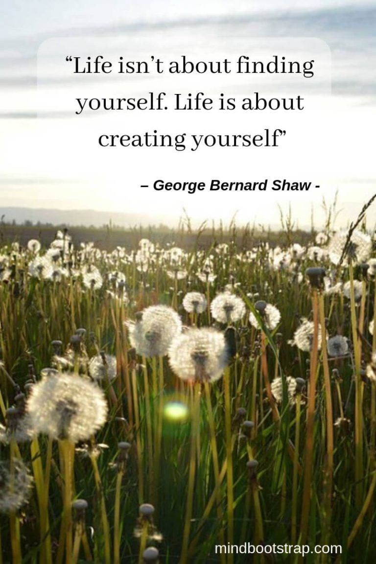 400+ Best Life Quotes For Inspiration, and Motivation (With Images)