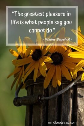 400+ Best Life Quotes For Inspiration, and Motivation (With Images)