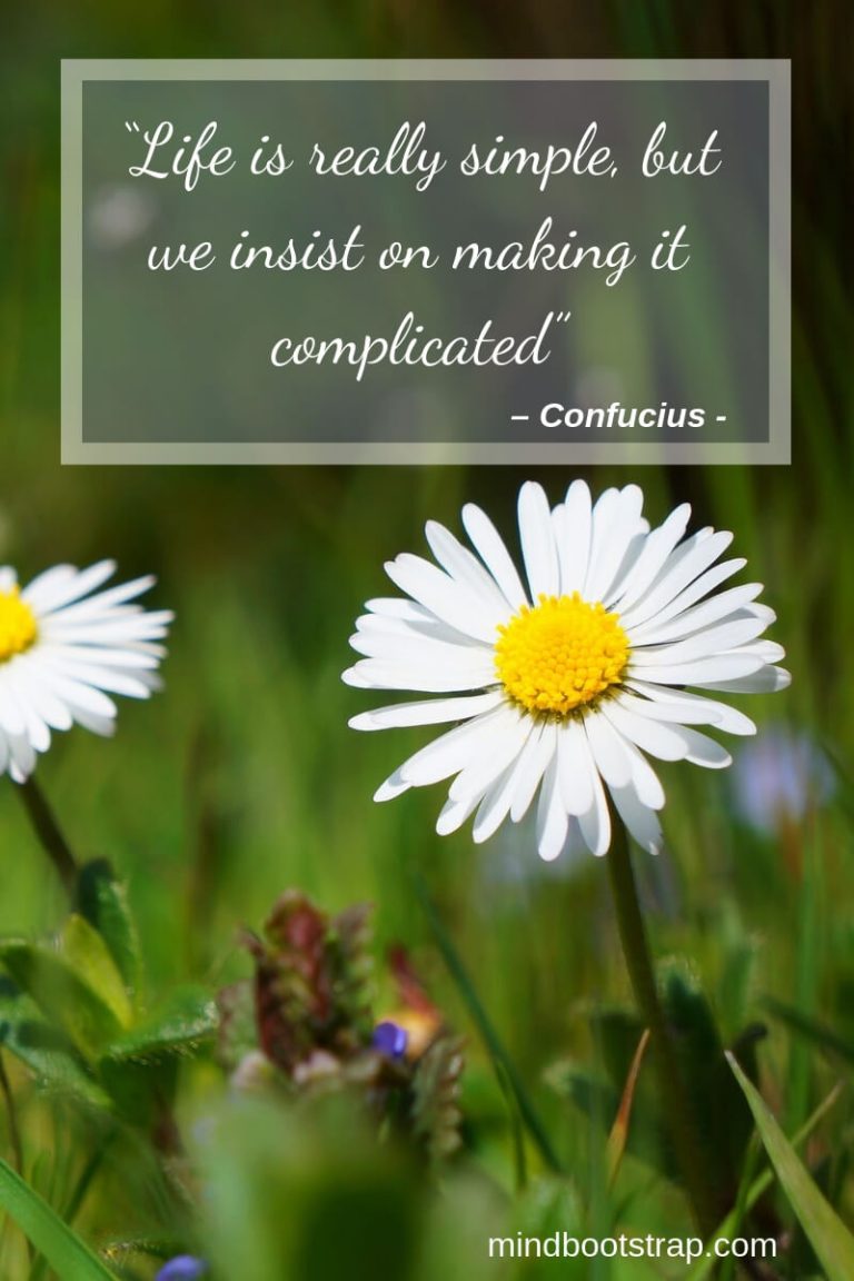 400+ Best Life Quotes For Inspiration, and Motivation (With Images)