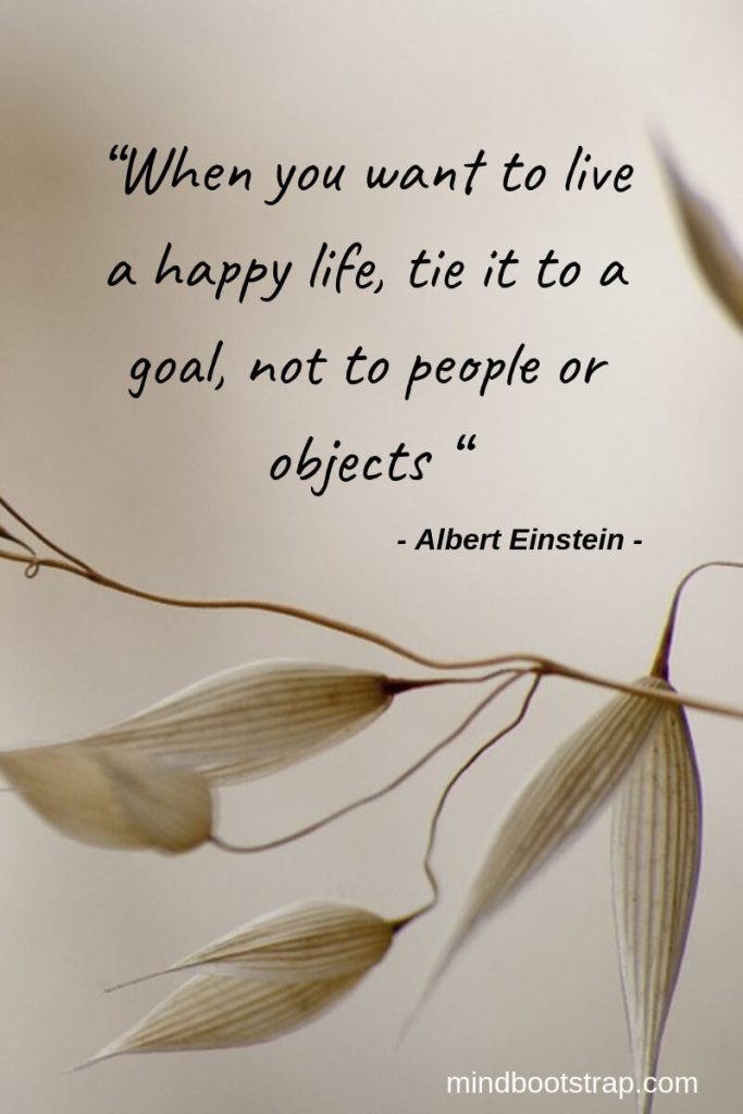 400+ Best Life Quotes For Inspiration, and Motivation (With Images)