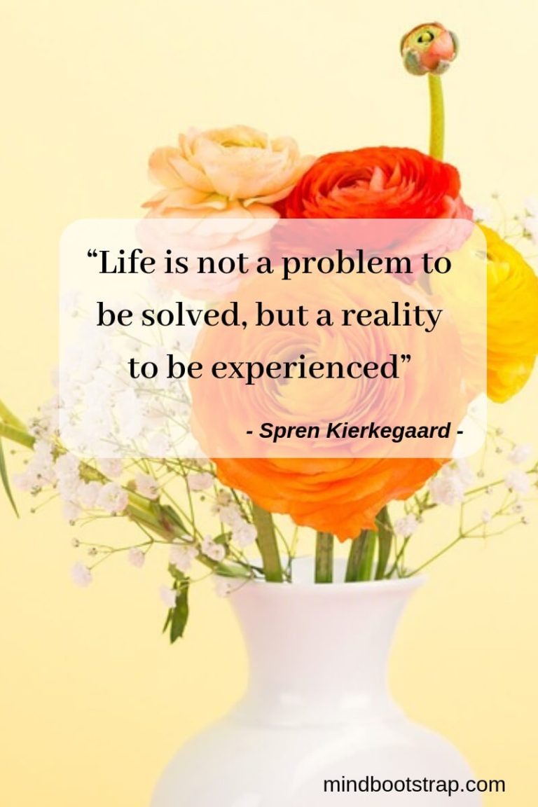 400+ Best Life Quotes For Inspiration, and Motivation (With Images)