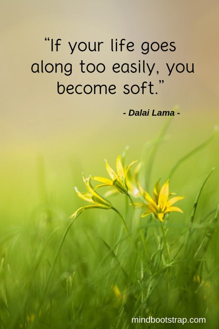 400+ Best Life Quotes For Inspiration, and Motivation (With Images)