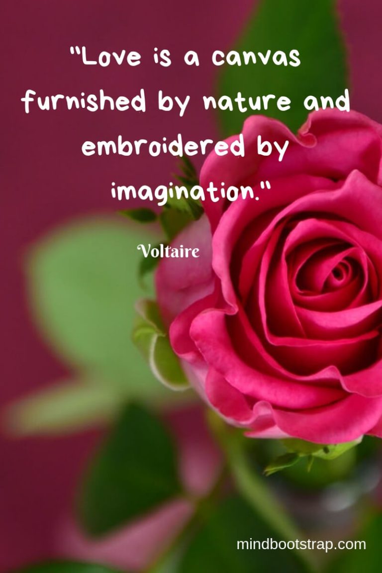 400+ Best Valentine's Day Quotes To Express With Your Beloved (With Images)