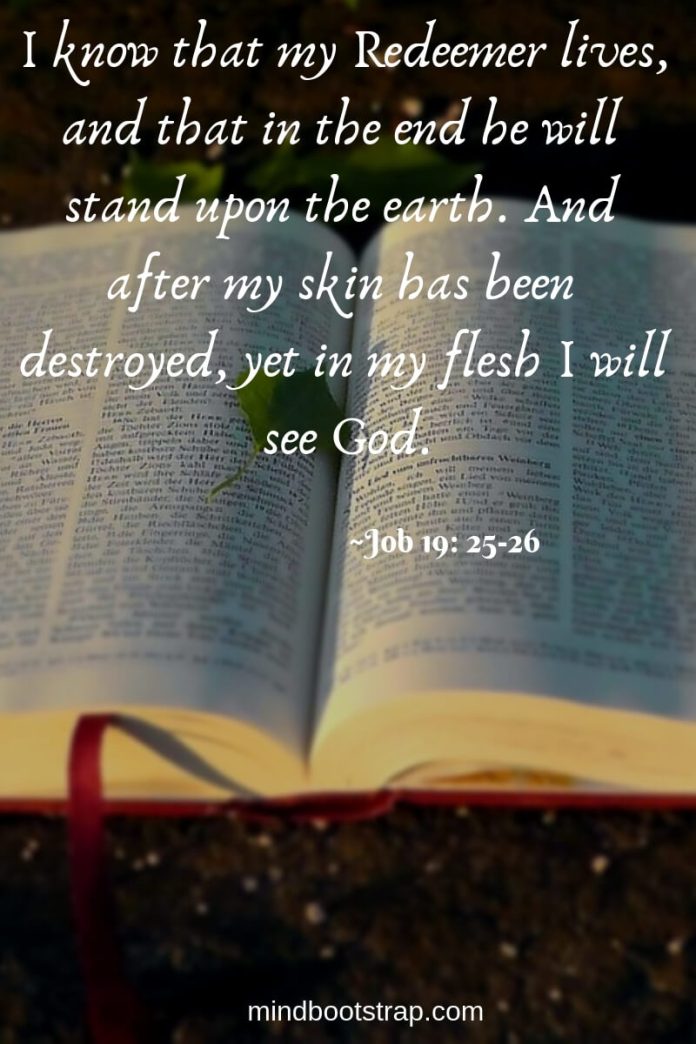 Inspiring and Stimulating God Quotes From Book Of Job
