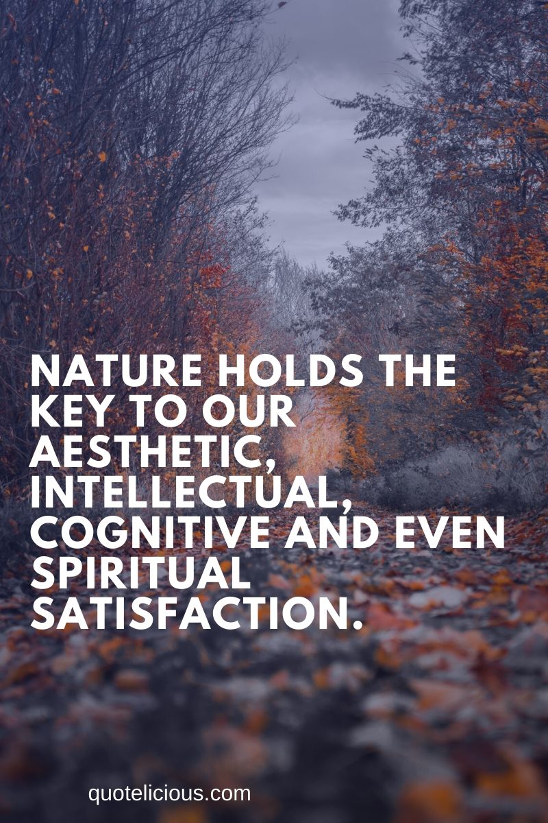 100+ Aesthetic Quotes & Sayings On Love, Life {With Images}