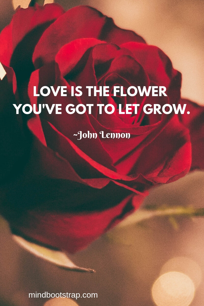 490+ Inspiring Love Quotes & Sayings From The Heart (With Images)