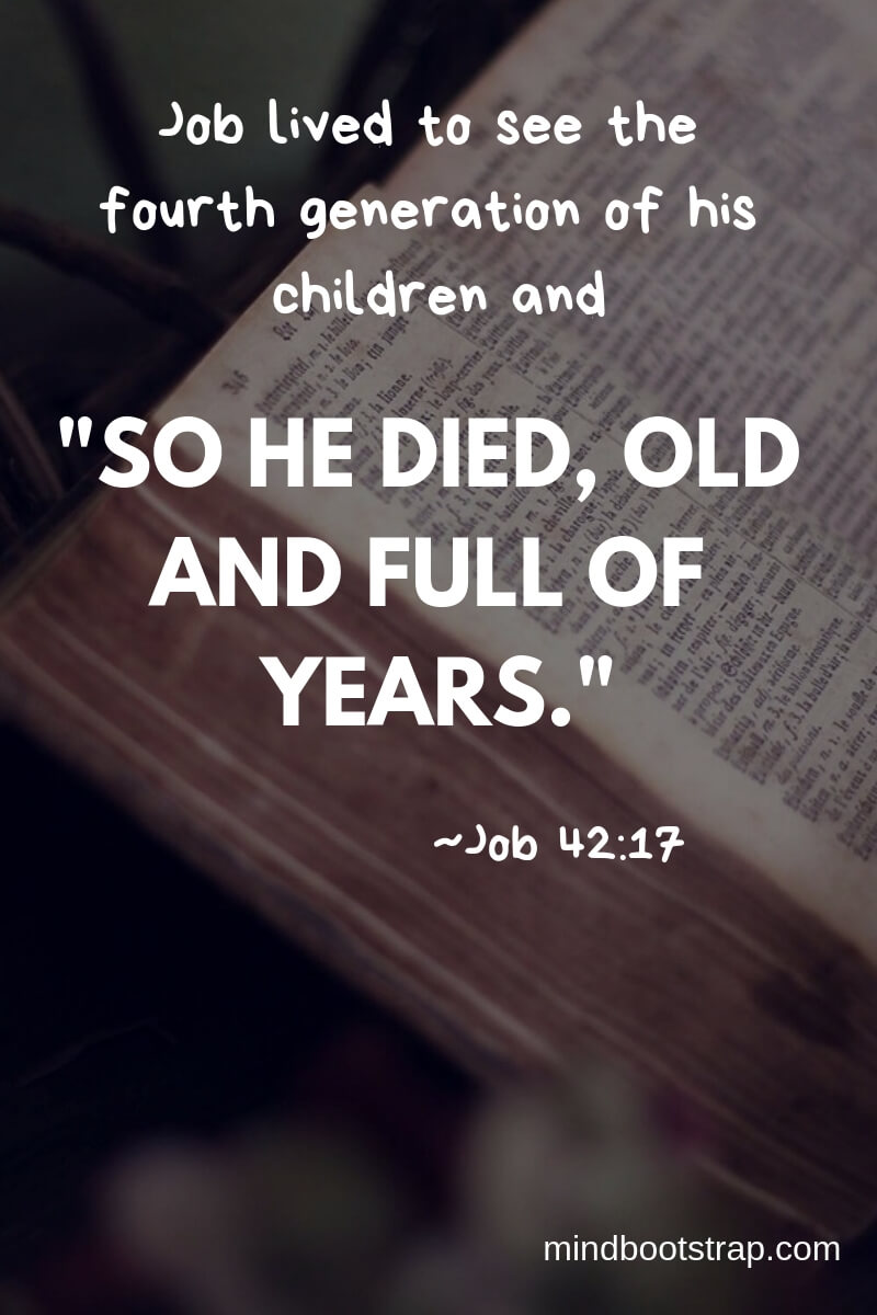 Inspiring and Stimulating God Quotes From Book Of Job