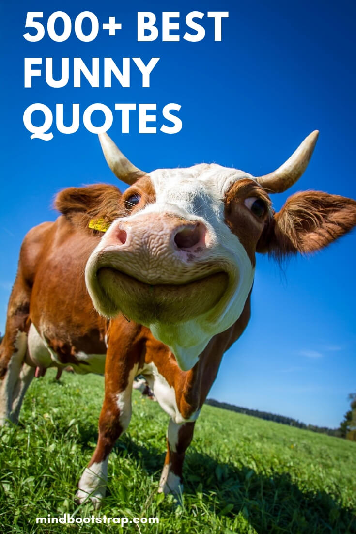 The 513 Best Funny Quotes With Beautiful Pictures To Share - MindBootstrap