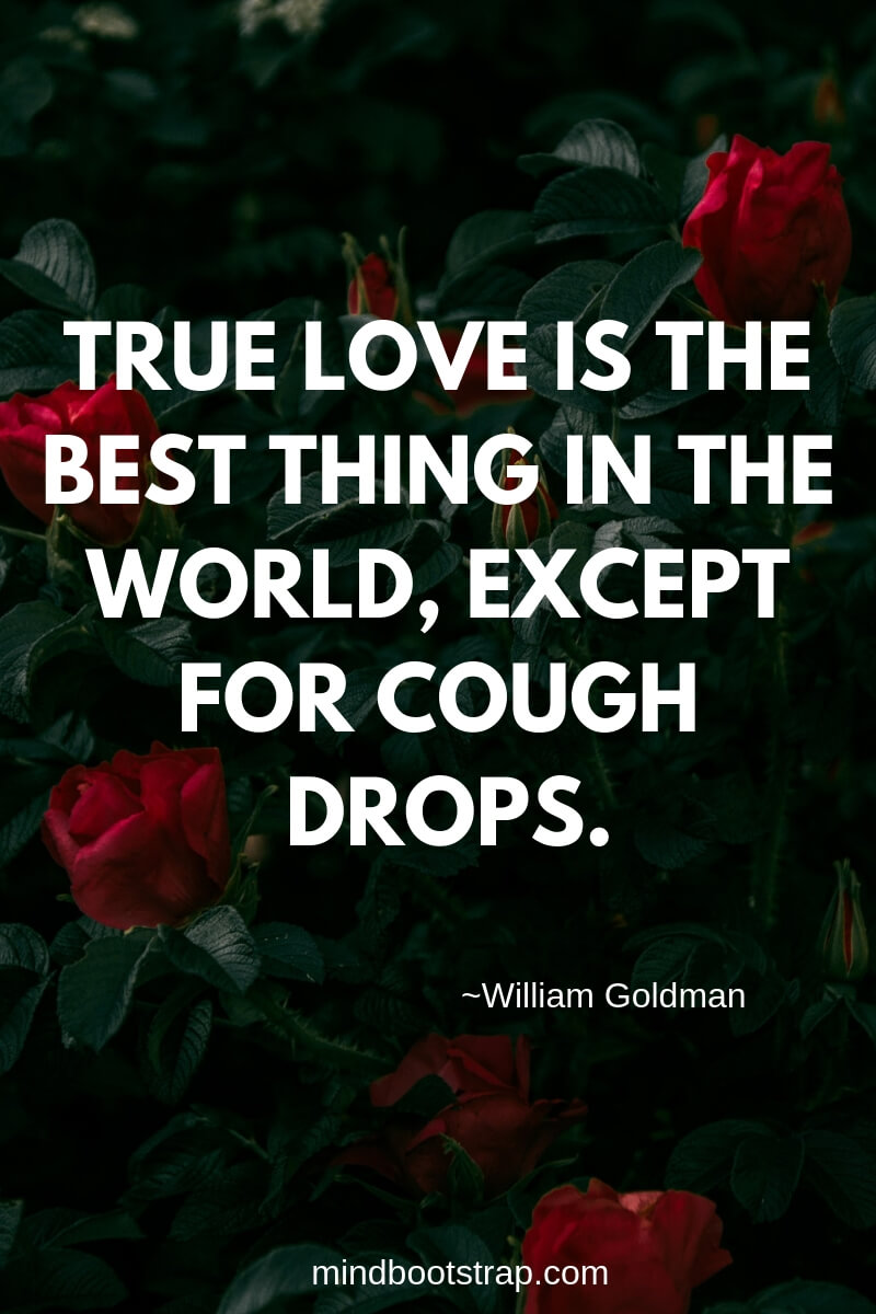 98+ True Love Quotes & Sayings Straight From The Heart (With Images)