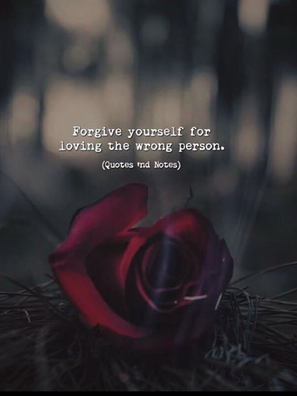 95+ Positive Break Up Quotes To Help You Move On - MindBootstrap.com