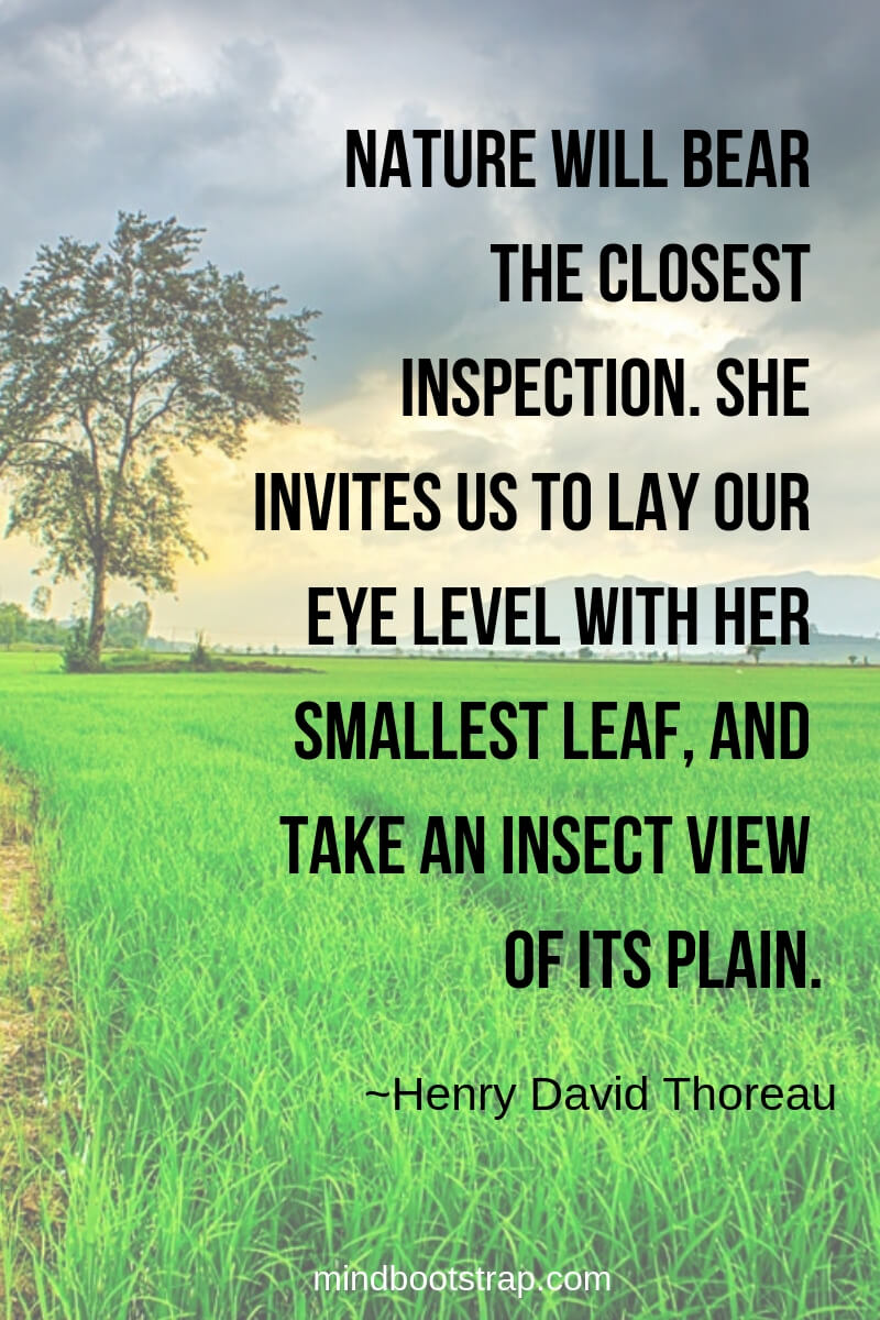 77+ Inspiring Henry David Thoreau Quotes About Life, Love