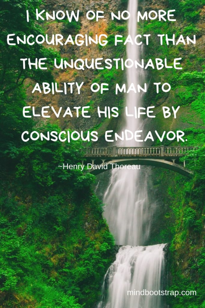 77+ Inspiring Henry David Thoreau Quotes About Life, Love