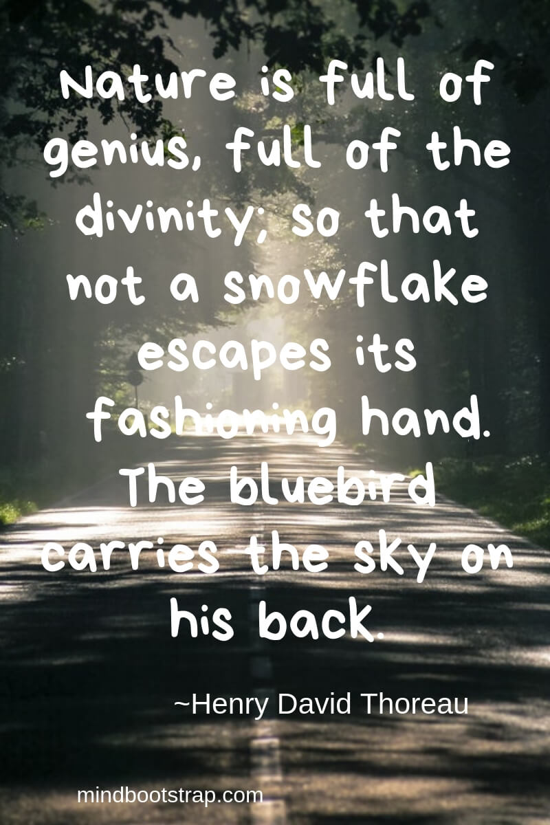 77+ Inspiring Henry David Thoreau Quotes About Life, Love