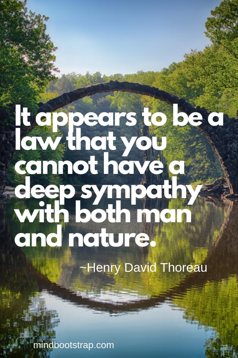 77+ Inspiring Henry David Thoreau Quotes About Life, Love