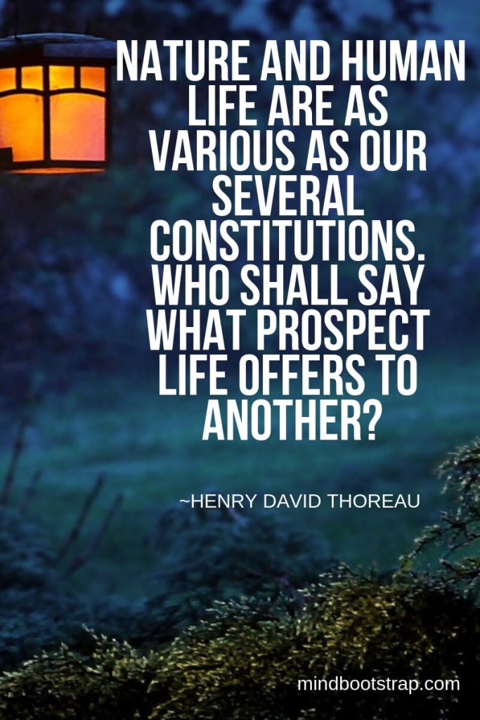 77+ Inspiring Henry David Thoreau Quotes About Life, Love