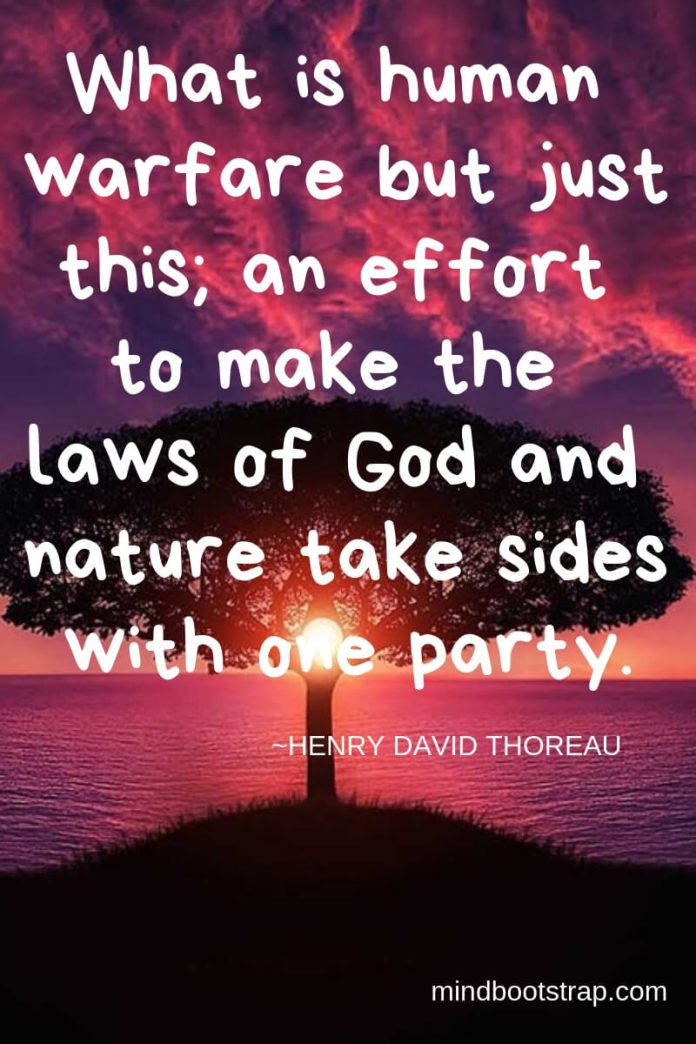 77+ Inspiring Henry David Thoreau Quotes About Life, Love