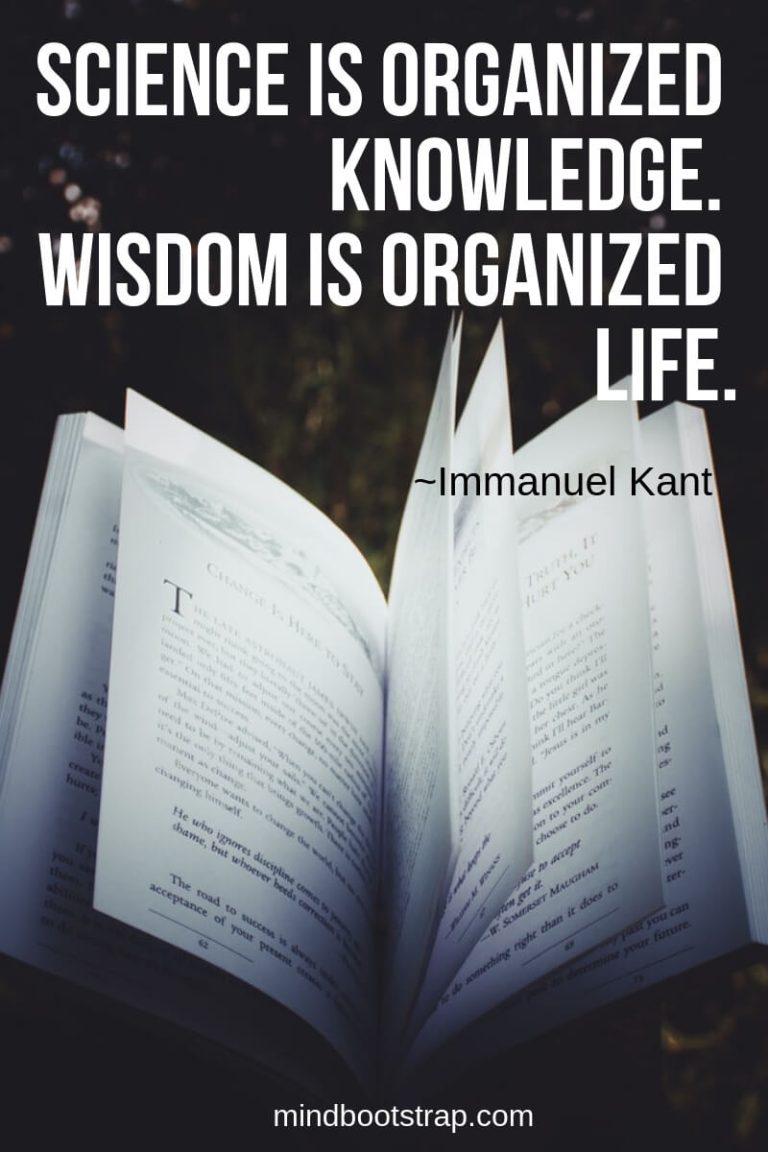 108+ Inspiring Wisdom Quotes & Sayings (With Images)