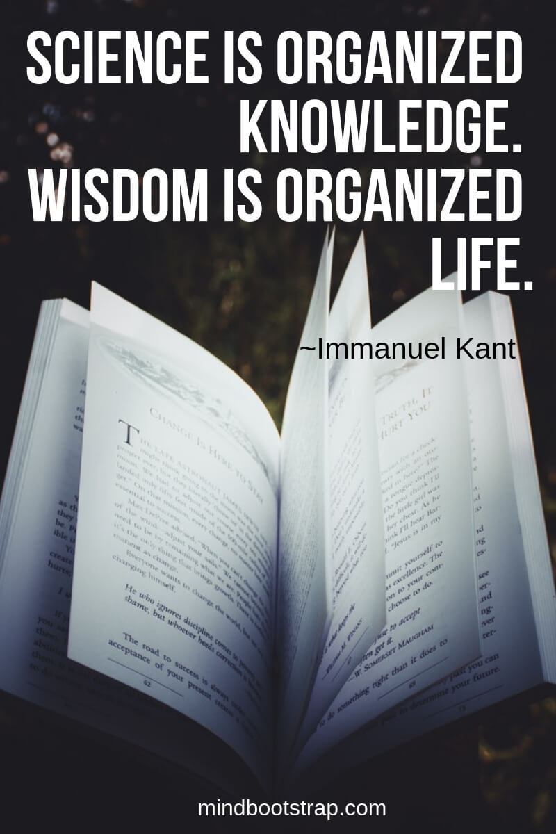 108+ Inspiring Wisdom Quotes & Sayings (With Images)