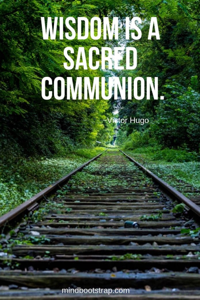 108+ Inspiring Wisdom Quotes & Sayings (With Images)