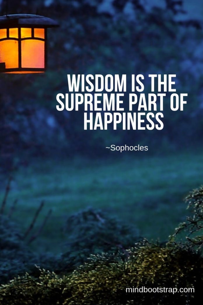 108+ Inspiring Wisdom Quotes & Sayings (With Images)