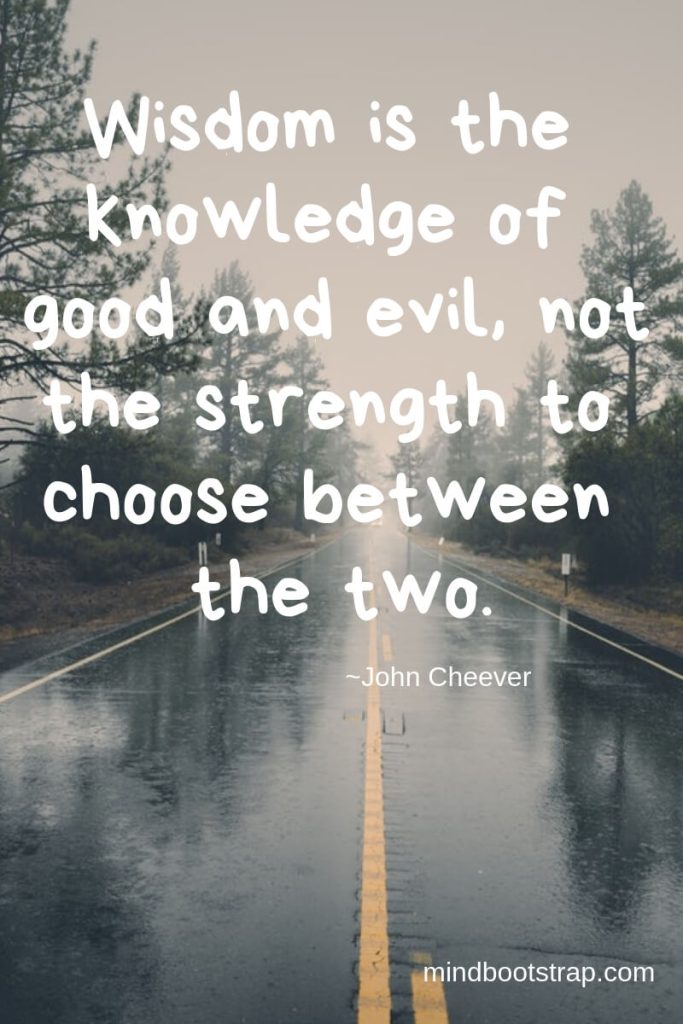 108+ Inspiring Wisdom Quotes & Sayings (With Images)