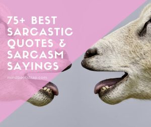 75+ Best Sarcastic Quotes & Sarcasm Sayings About Love, Life