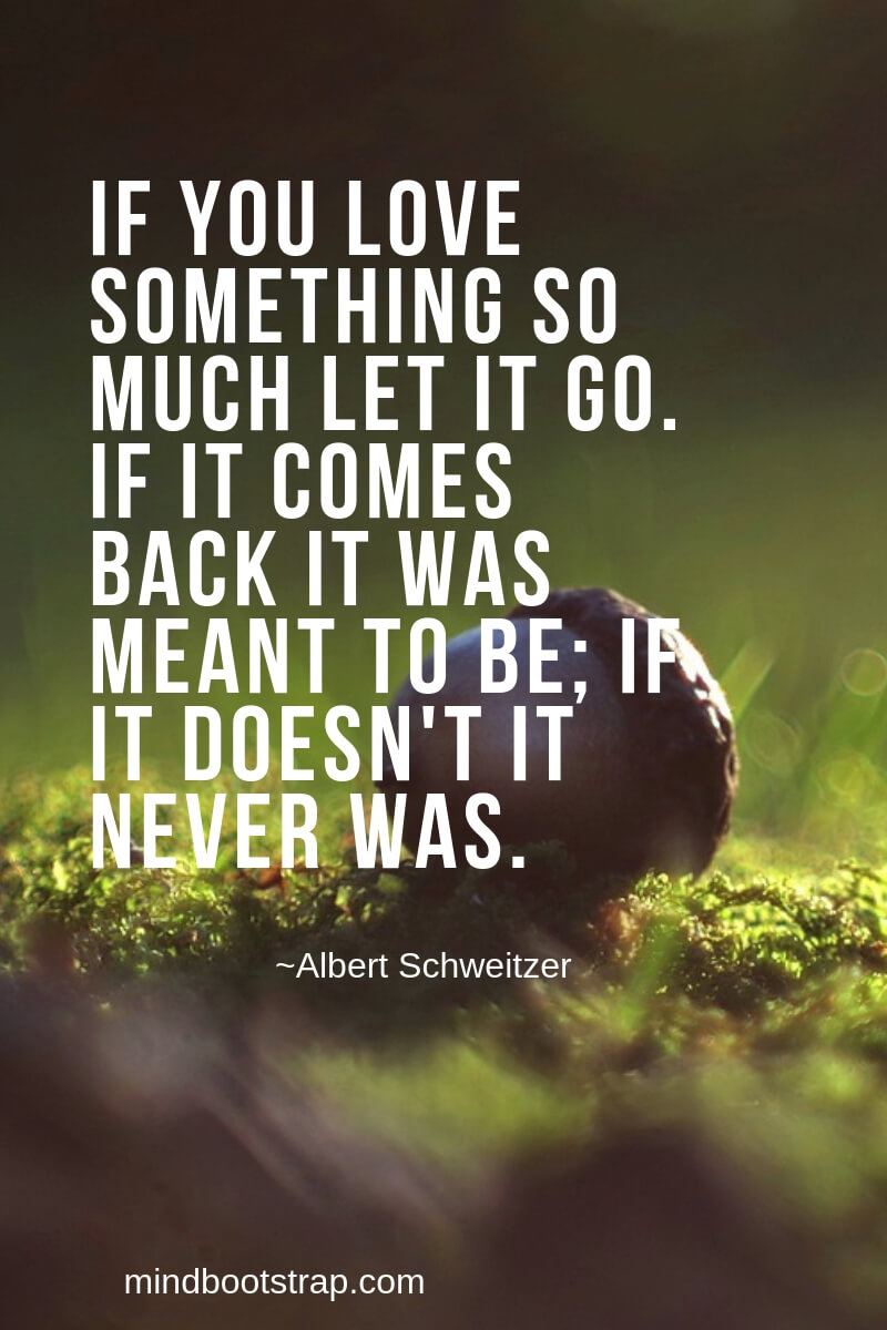 31+ Best Letting Go of Love Quotes and Sayings That Help You Move on