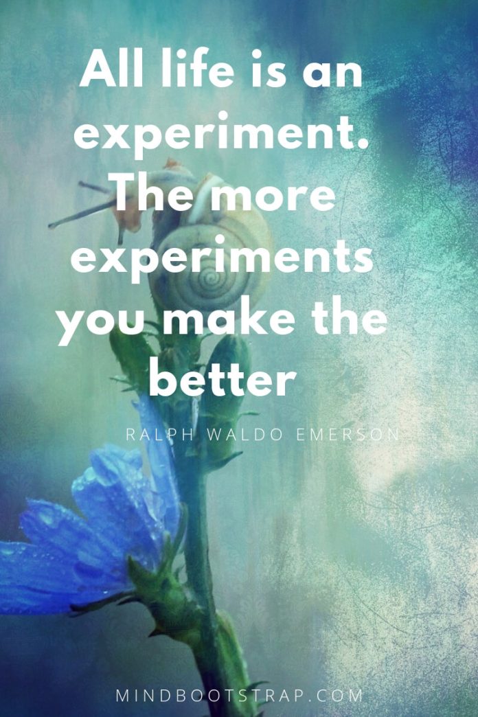 35+ Best Life Is What You Make It Quotes and Sayings (Images)