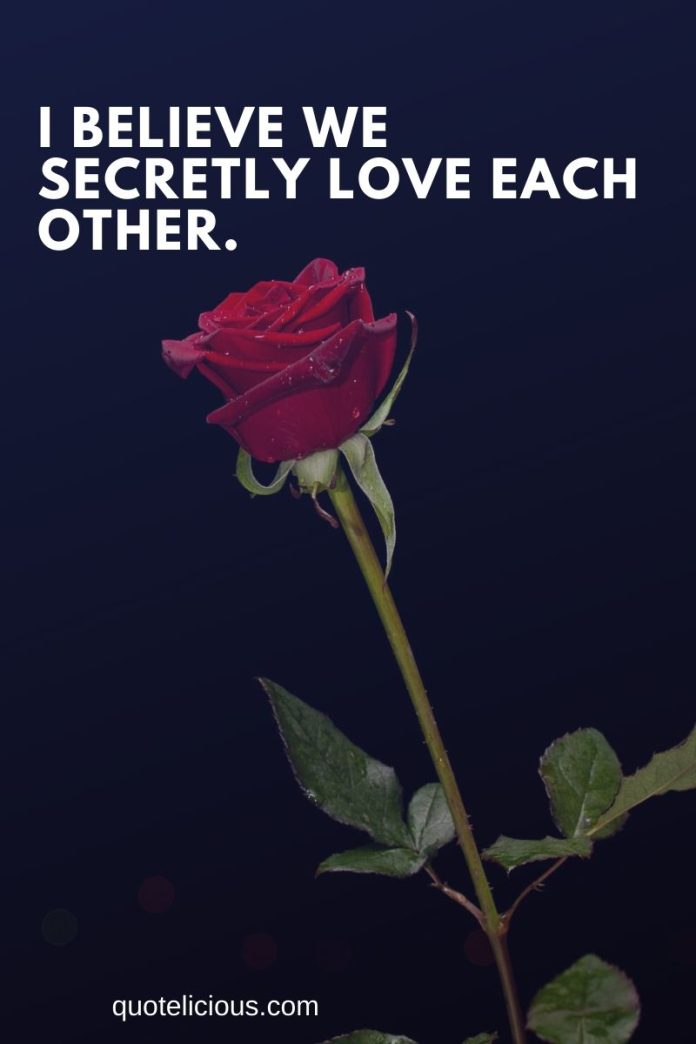 31+ Inspiring Secret Love Quotes & Sayings From The Heart