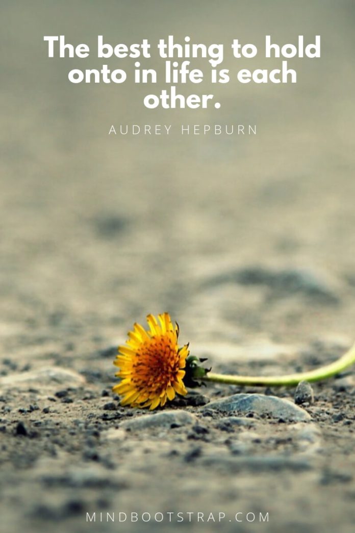 34+ Inspiring Love Life Quotes and Sayings - MindBootstrap