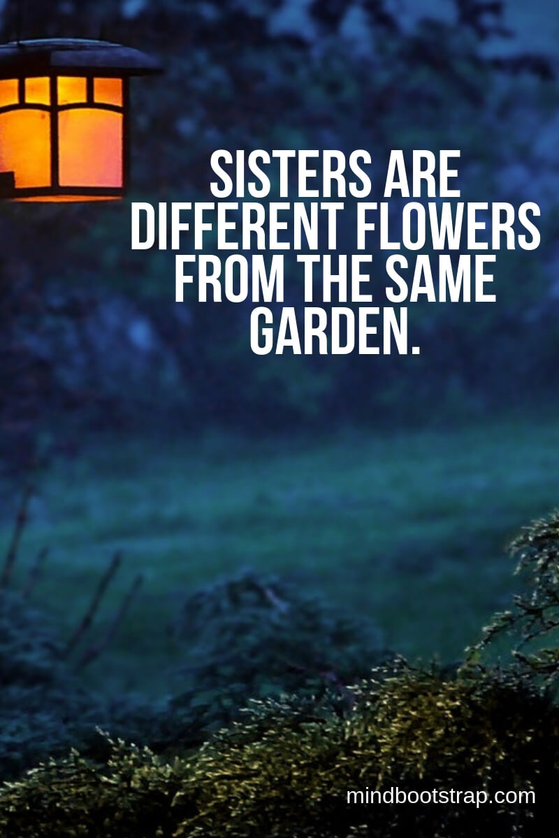 75+ Inspiring Sister Quotes and Sayings To Express Your Feeling of Love