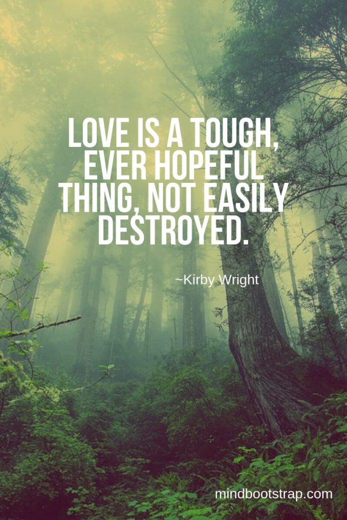 37+ Inspiring Tough Love Quotes and Sayings - MindBootstrap