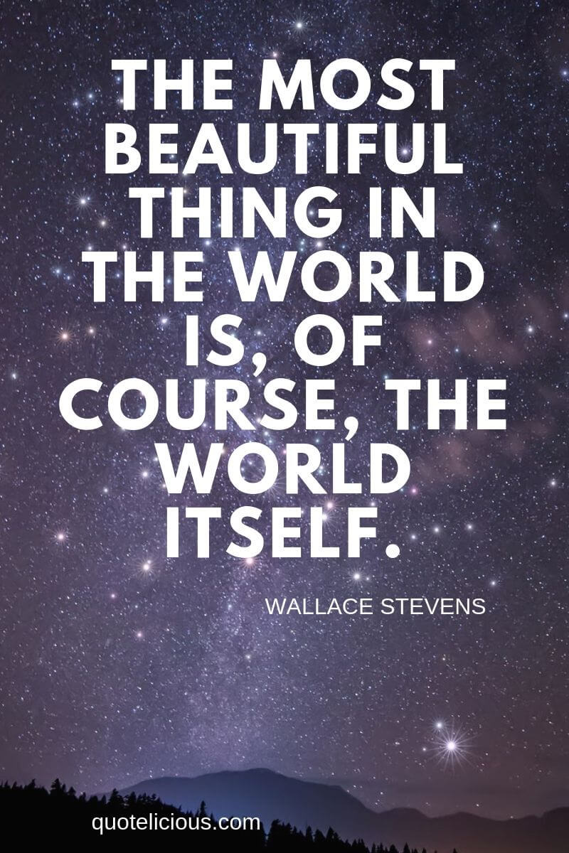 198+ Beautiful Quotes & Sayings on Love, Life, and Nature (With Pictures)