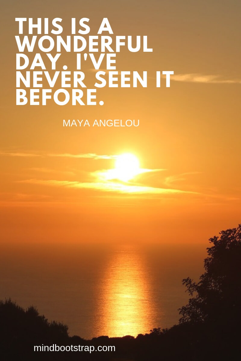 117+ Inspiring Gratitude Quotes and Sayings on Life, Love (Images)