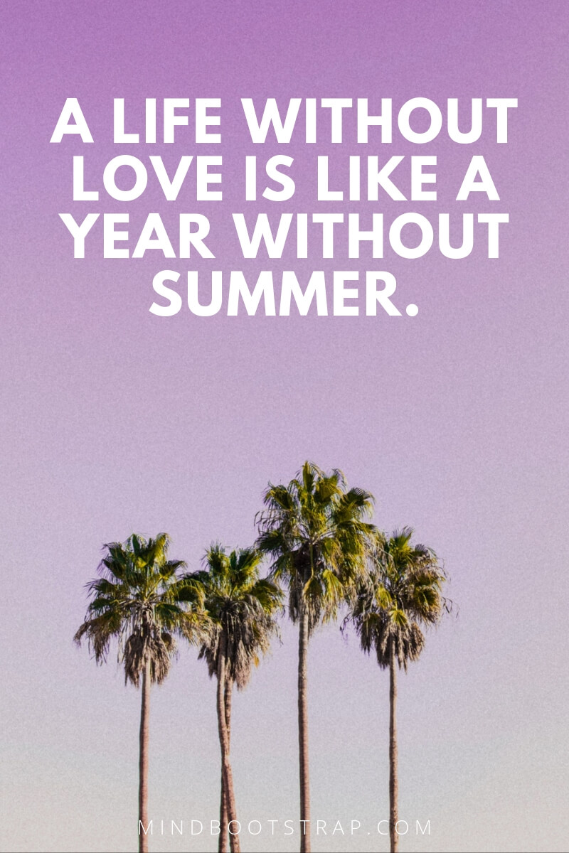 172+ Lovely Summer Quotes and Sayings That Will Warm Your Mind