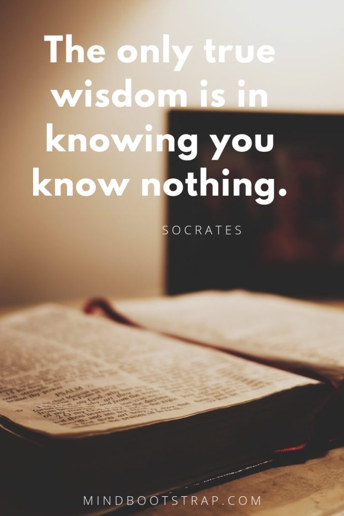 101+ Best Knowledge Quotes and Sayings To Bring Wisdom
