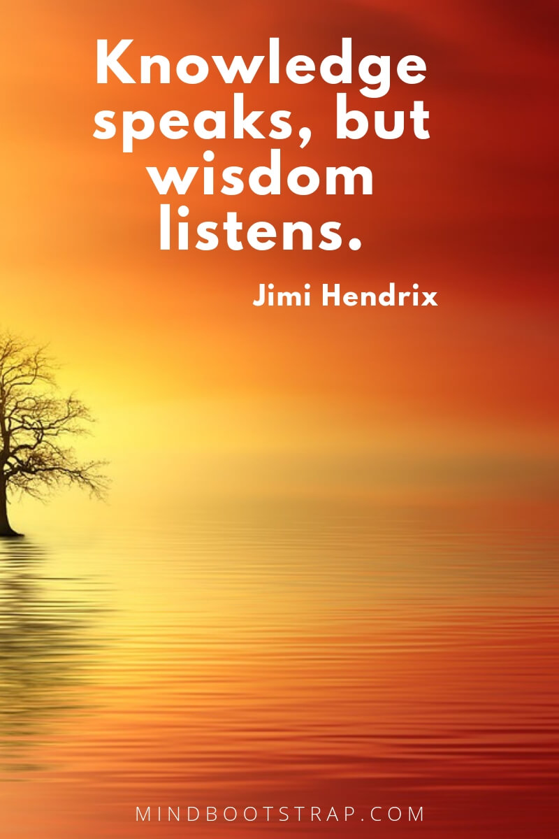 101+ Best Knowledge Quotes and Sayings To Bring Wisdom