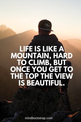34+ Fun Life Is Like Quotes and Sayings (With Images)