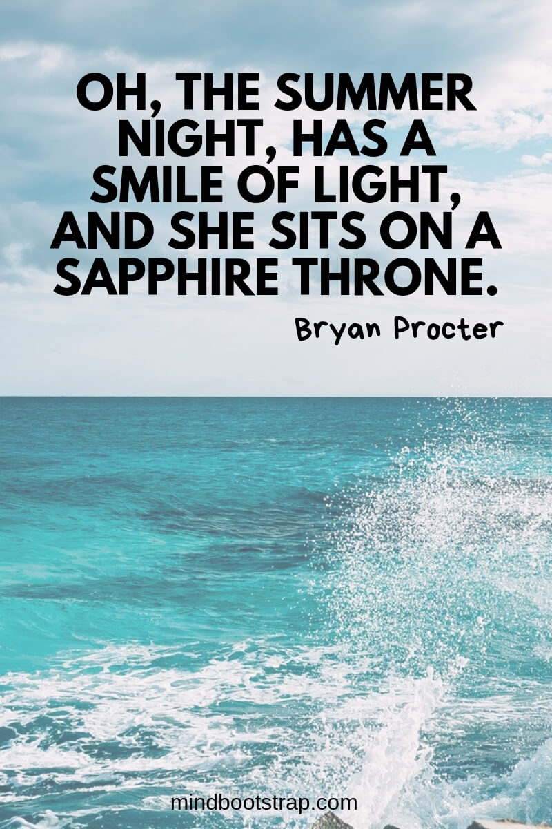 172+ Lovely Summer Quotes and Sayings That Will Warm Your Mind