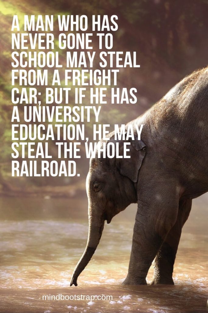 115+ Best Learning Quotes and Sayings To Inspire You (With Images)